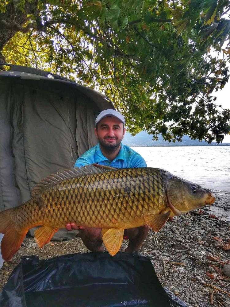 Sapanca Gölü'nde 1 metre boyunda sazan yakalandı Sapanca Gölü'nde 1 metre boyunda sazan yakalandı